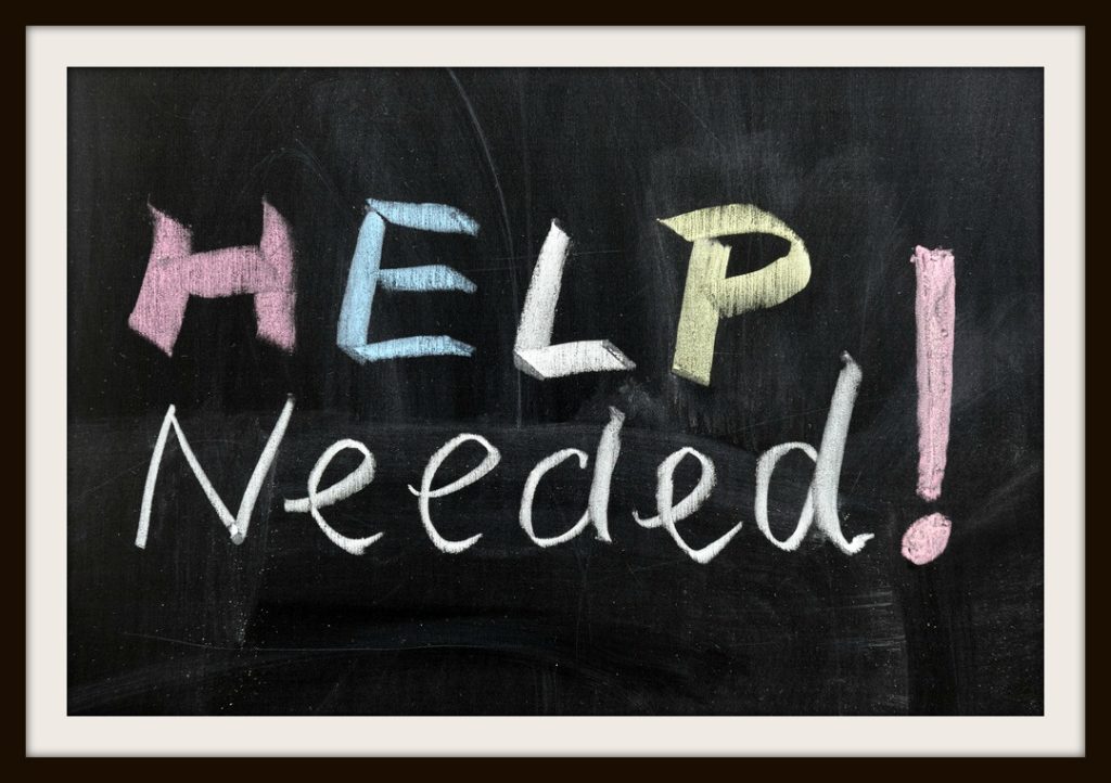 Help Needed The Georgia Mattson Memorial Shelter