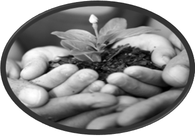 Helping Hands - The Georgia Mattson Memorial Shelter